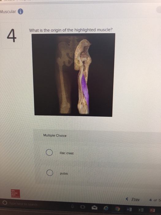 Solved Muscular What is the origin of the highlighted | Chegg.com