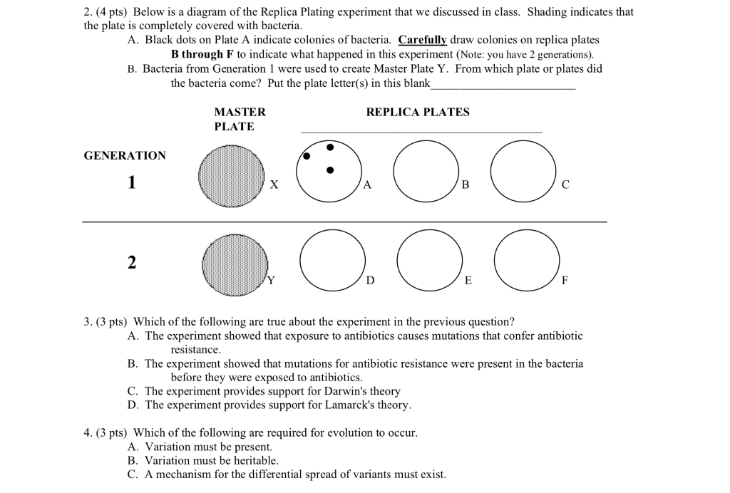 Solved (4 pts) Below is a diagram of the Replica Plating | Chegg.com