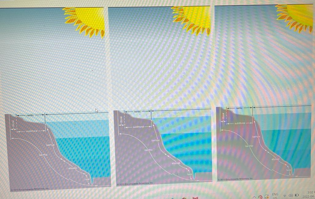 Solved The Great Oxidation Event (GOE) is one of the most | Chegg.com