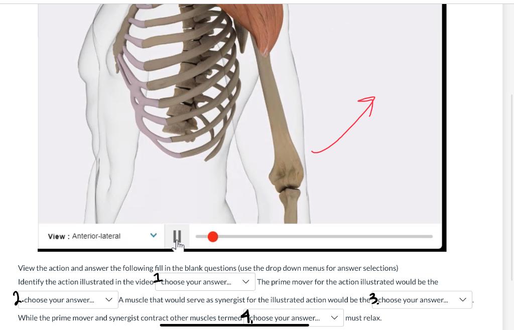 Solved Answer questions 1-4 Question 1 answer choices | Chegg.com