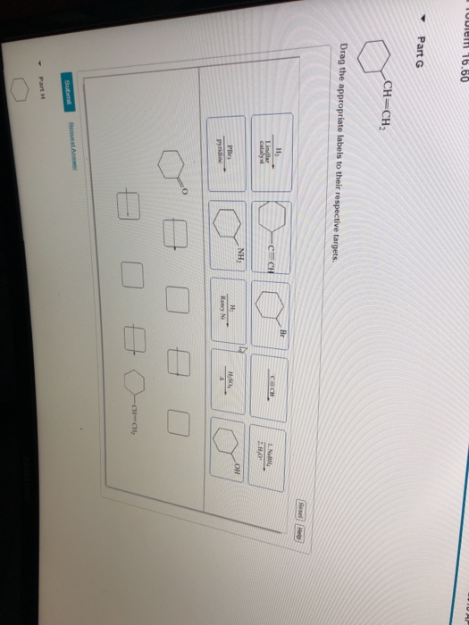 Solved N(CH3 2 Drag the appropriate labels to their | Chegg.com