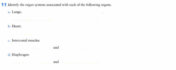Solved 4 Fill in the blanks using your model and/or cadaver | Chegg.com