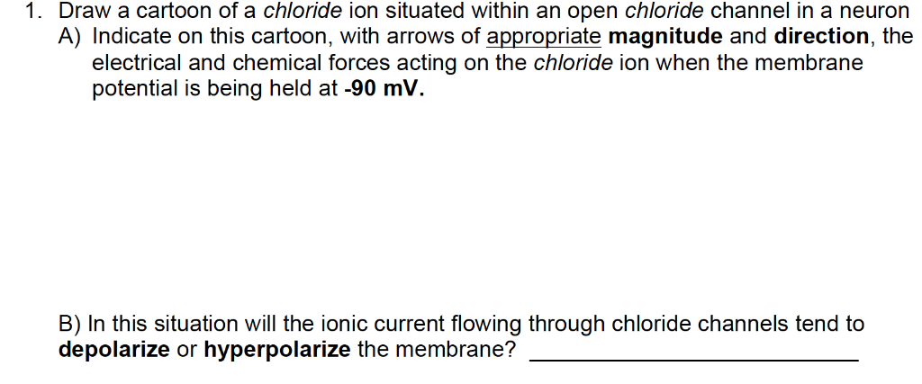 Solved 1. Draw a cartoon of a chloride ion situated within | Chegg.com