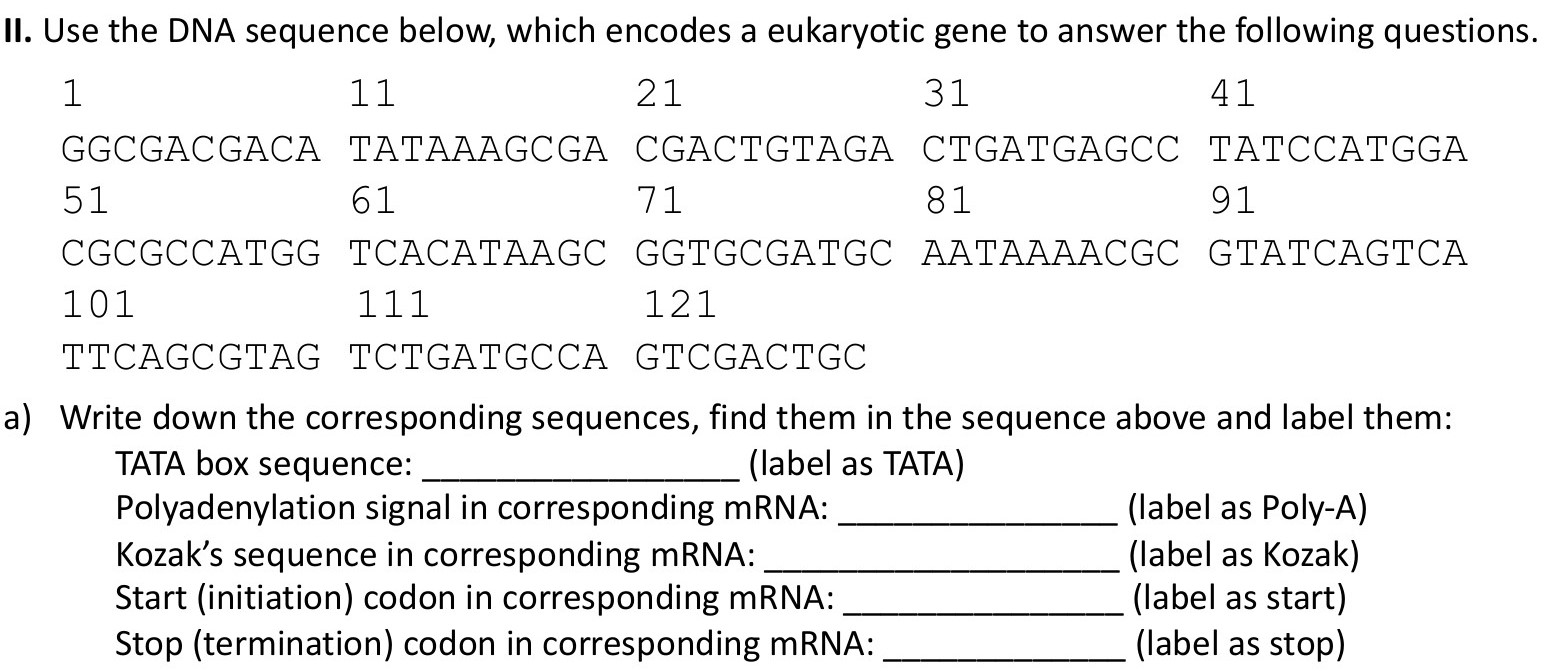 Solved Write down the corresponding sequences, find them in | Chegg.com