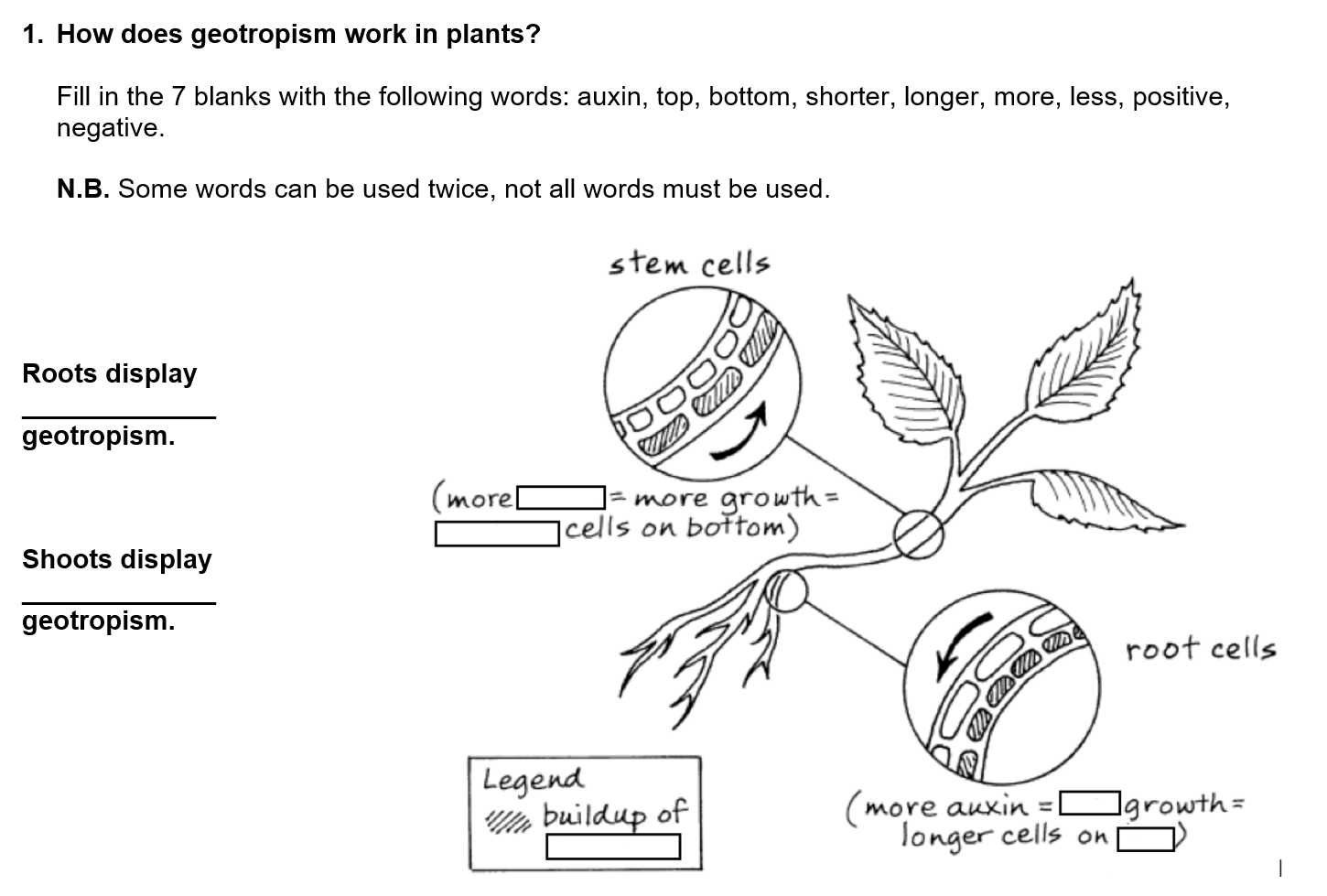 Solved 1. How does geotropism work in plants? Fill in the 7 | Chegg.com