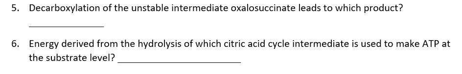 Solved 5. Decarboxylation of the unstable intermediate | Chegg.com