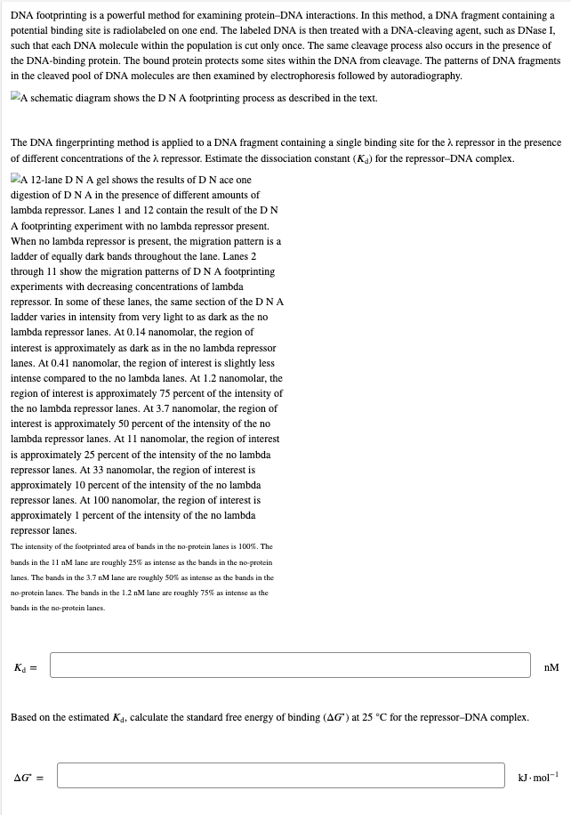 DNA footprinting is a powerful method for examining | Chegg.com