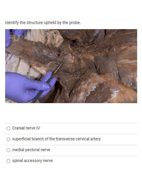 [Solved]: Please review the following image and answer Id