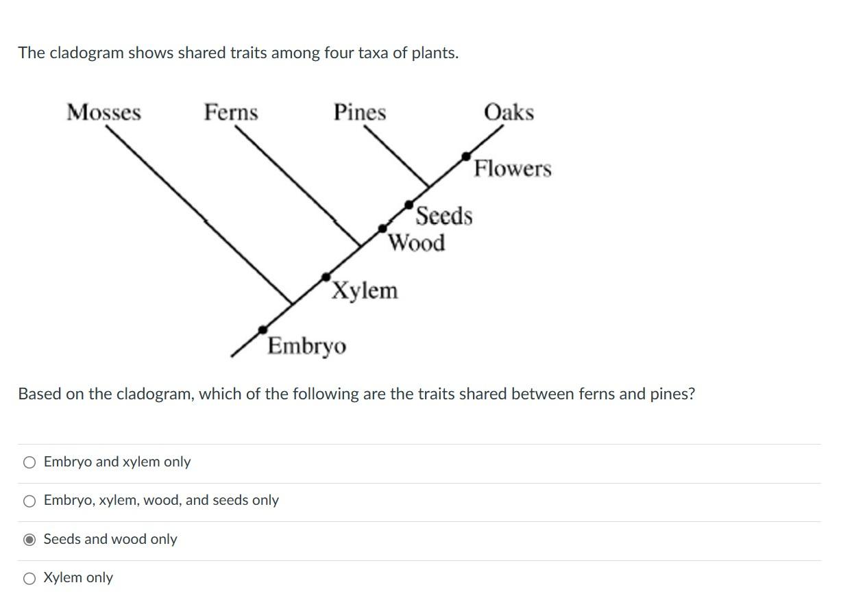 The cladogram shows shared traits among four taxa of | Chegg.com