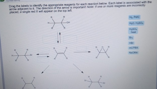 Solved Drag the labels to identify the appropriate reagents | Chegg.com