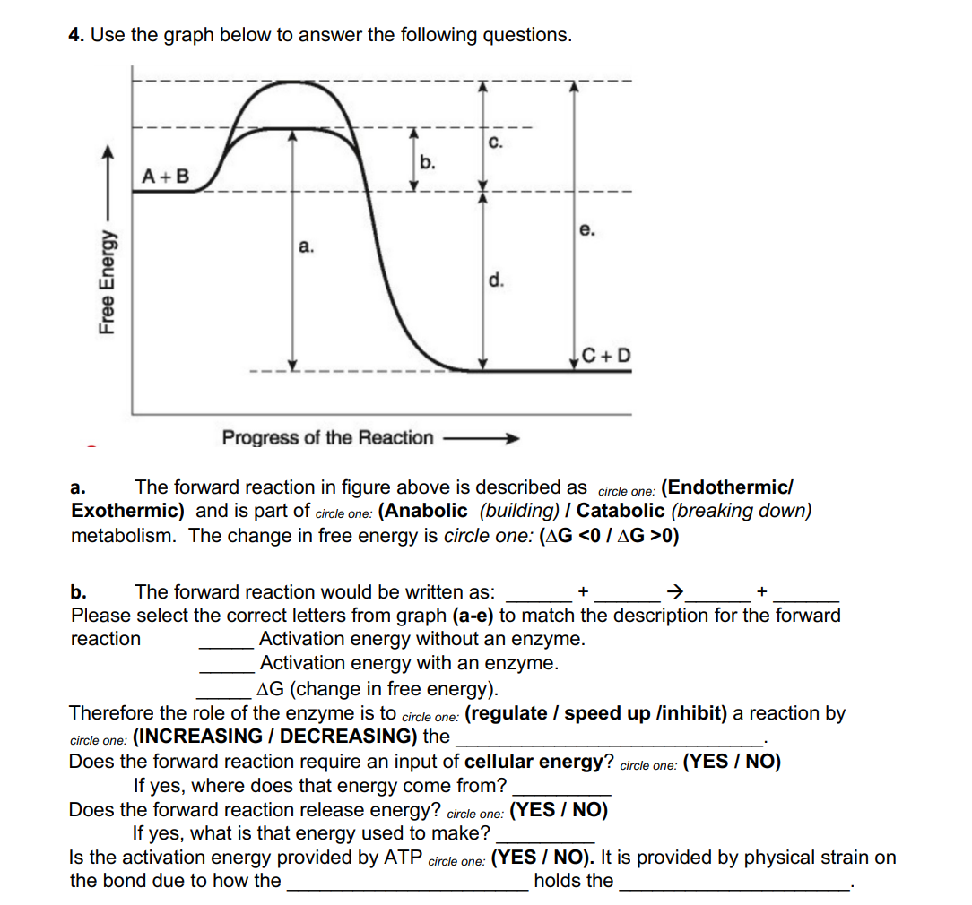 Solved 4. Use the graph below to answer the following | Chegg.com