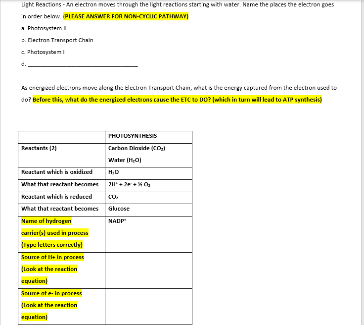 Solved Light Reactions - An electron moves through the light | Chegg.com