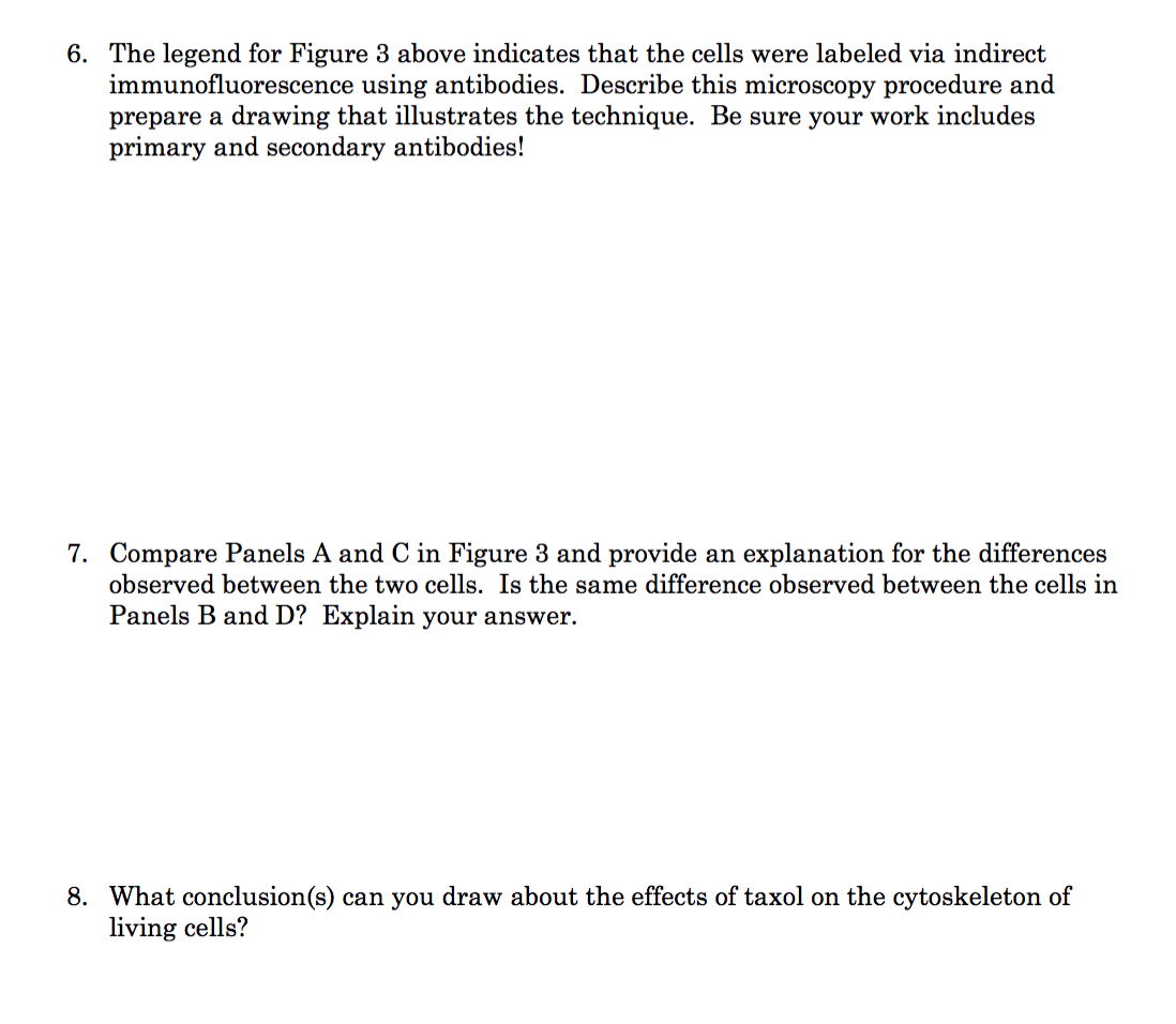 Solved 5. Figure 3 below consists of four micrographs, each | Chegg.com Solved 5. Figure 3 below consists of four micrographs, each | Chegg.com