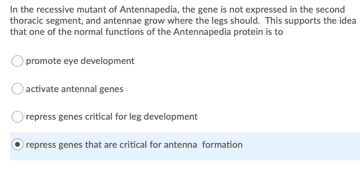 Solved In the recessive mutant of Antennapedia, the gene is | Chegg.com