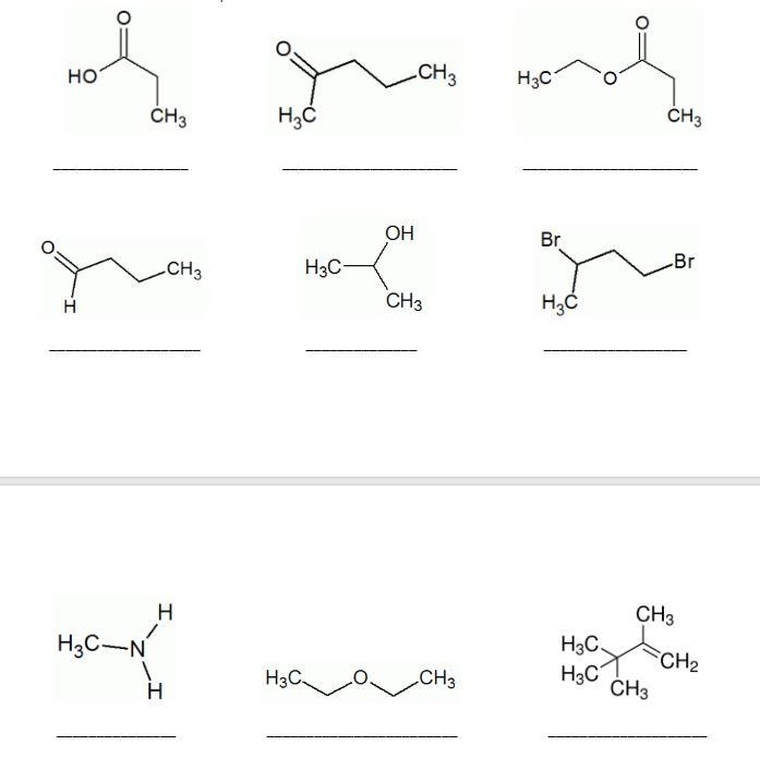 Solved НО CH3 H3C CH3 HC сна ОН Br CH3 Нас- -Br Н. CH3 Н.С | Chegg.com