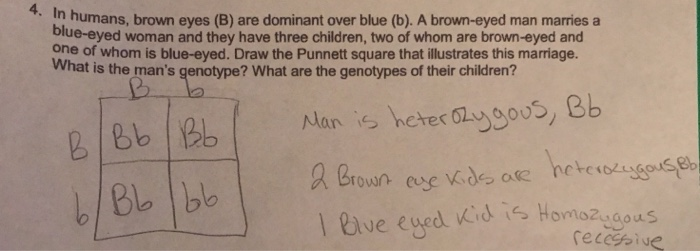 Solved can someone help me figure this out. the second photo | Chegg.com