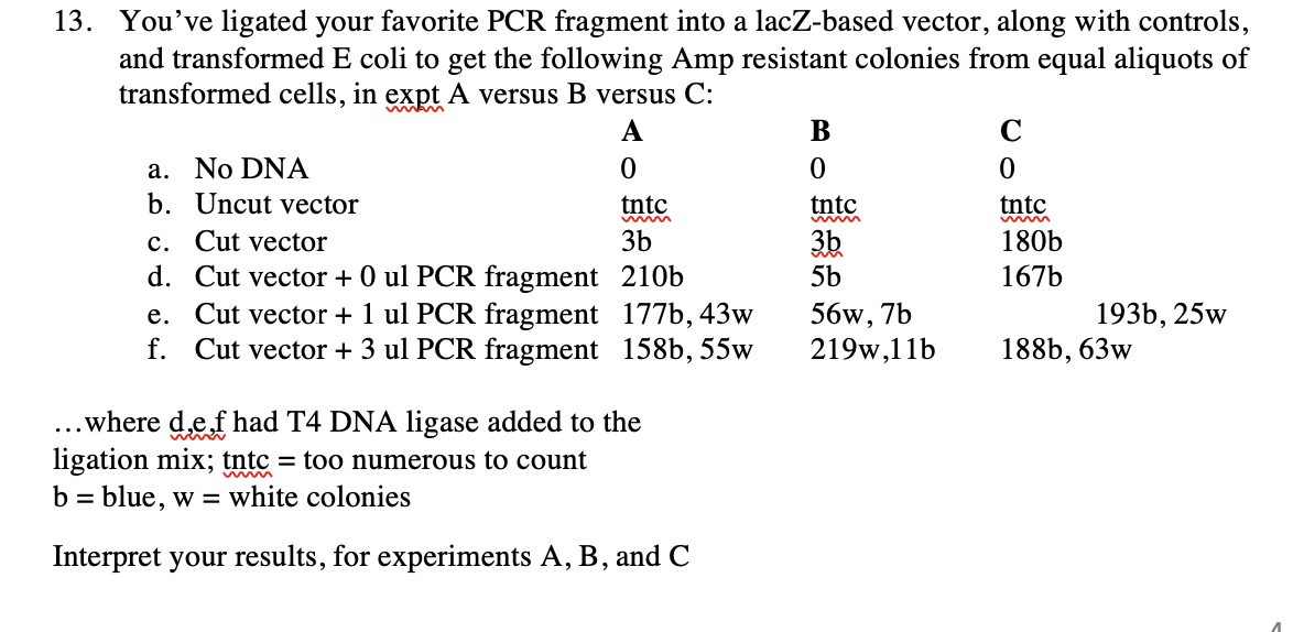 Solved 13. You've ligated your favorite PCR fragment into a | Chegg.com