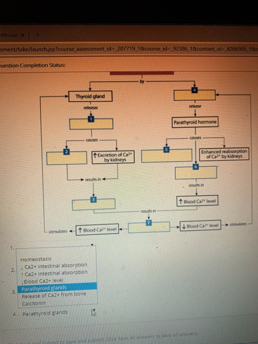 Solved hoza X sment/take/launch.jsp? course_assessment | Chegg.com