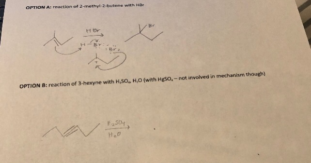 Solved OPTION a: reaction of 2-methyl-2-butene with HBr Br : | Chegg.com