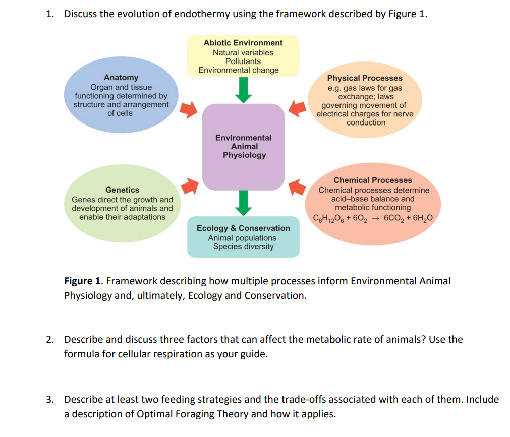 Discuss the evolution of endothermy using the | Chegg.com