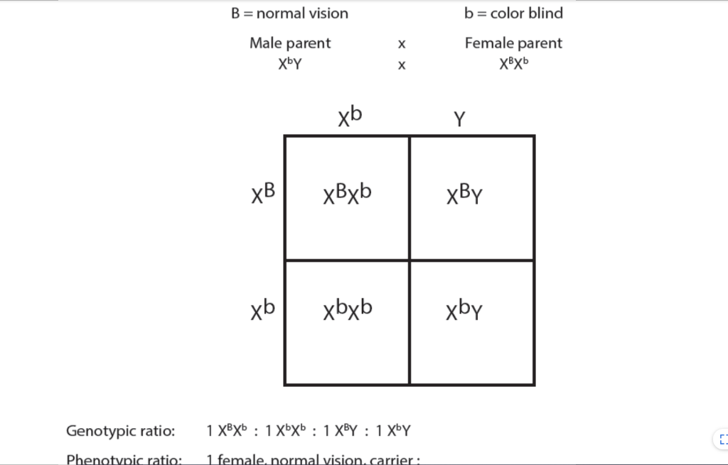 Solved What are the possible genotypes of the offspring | Chegg.com