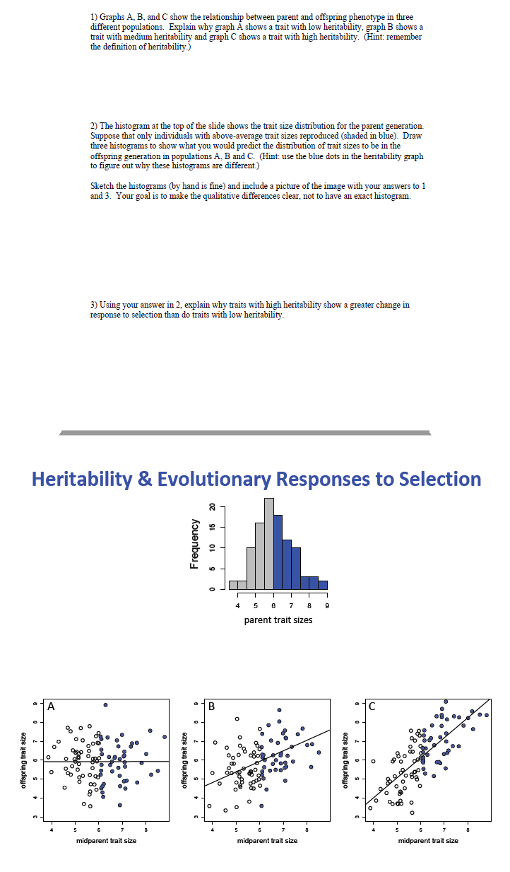 1) Graphs A, B, and C show the relationship between | Chegg.com