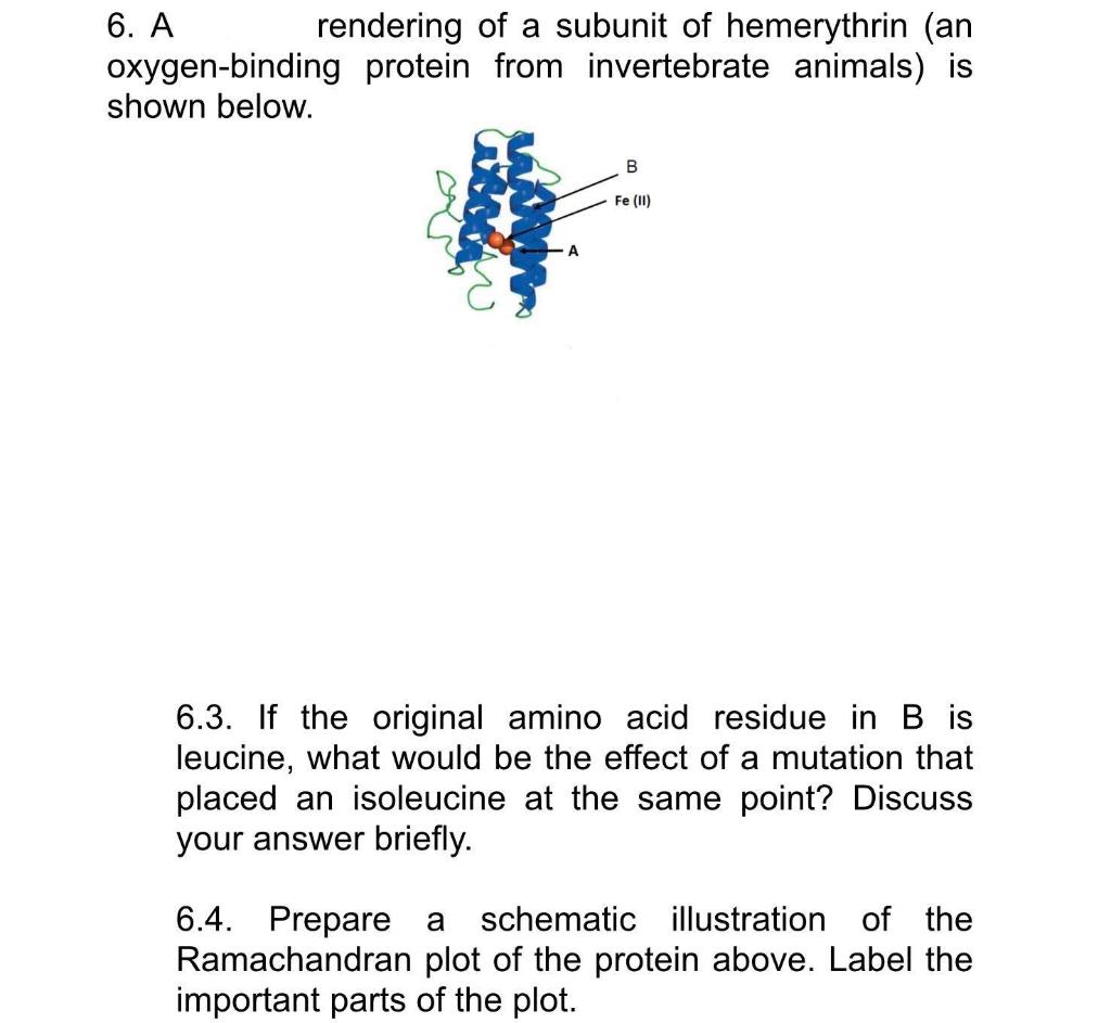 Solved 6. A rendering of a subunit of hemerythrin (an | Chegg.com