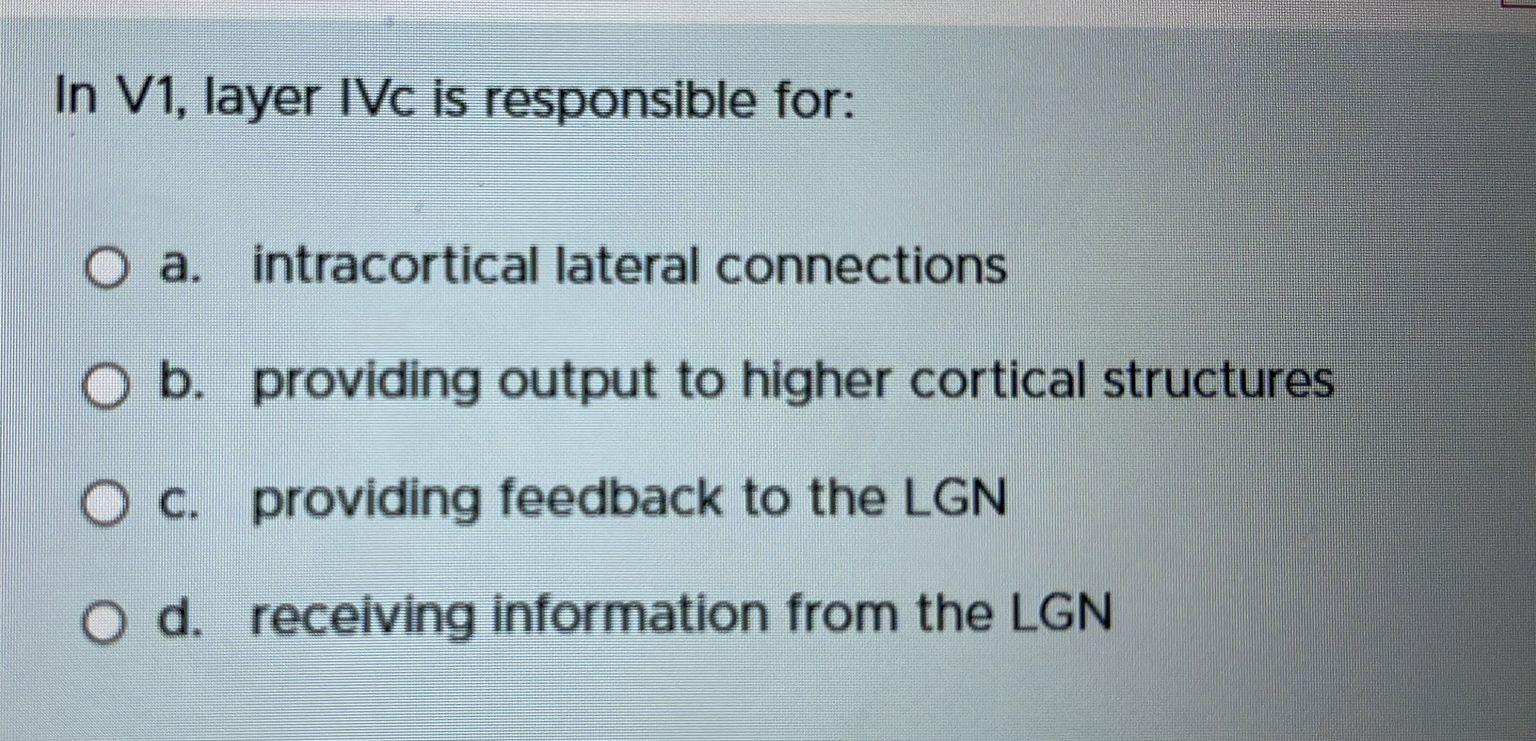Solved In V1, layer IVc is responsible for: a. intracortical | Chegg.com