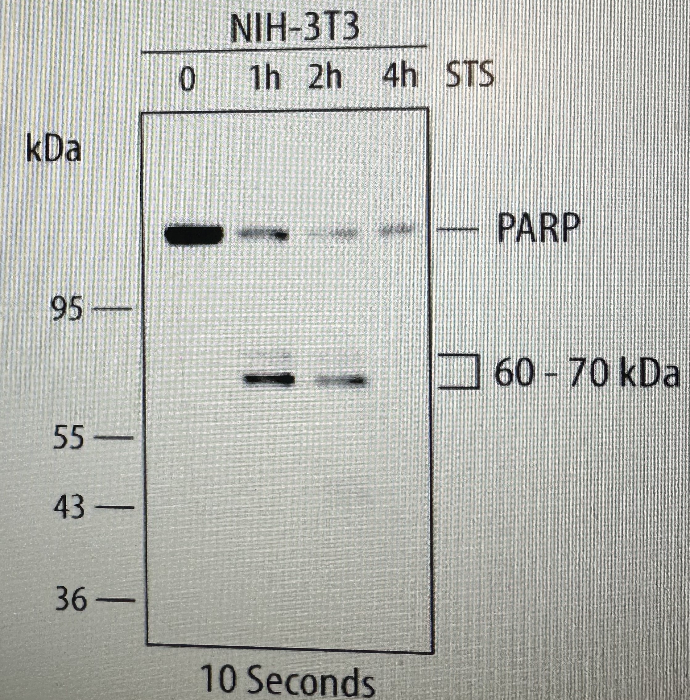 Solved Question-1 (refer to Figure-1 below) Below is a | Chegg.com