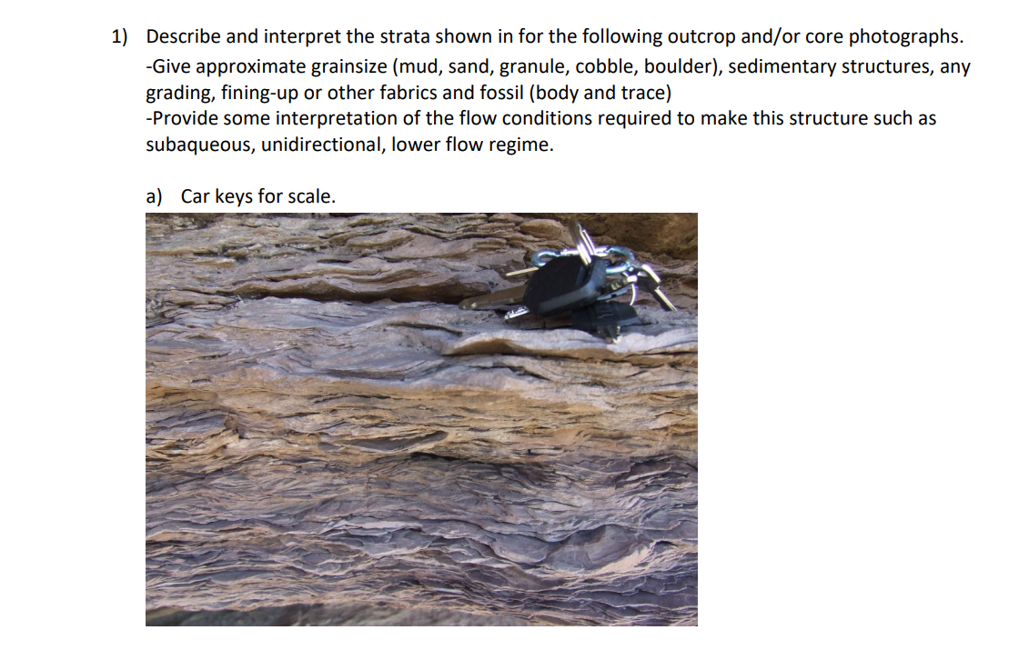 Solved Describe and interpret the strata shown in for the | Chegg.com