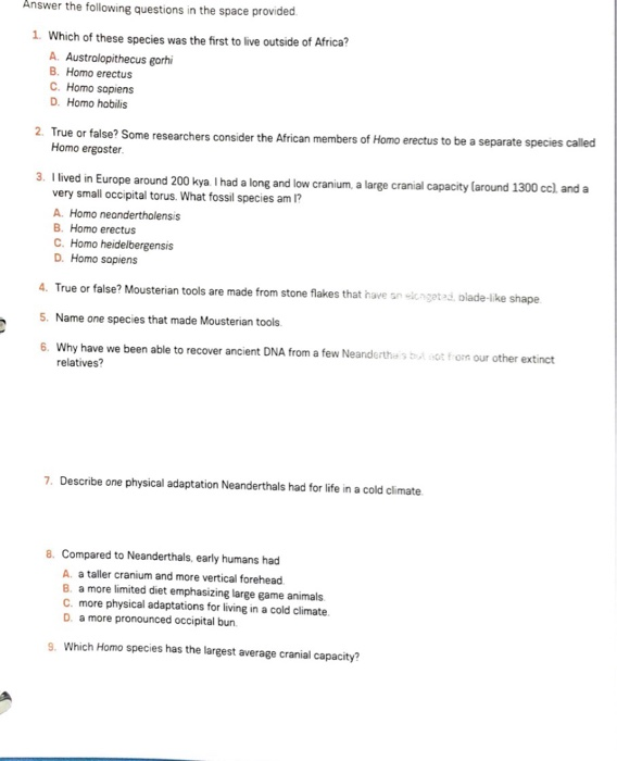 Solved nswer the following questions in the space provided | Chegg.com