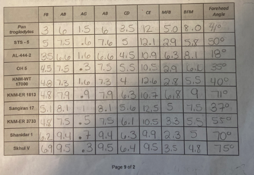 Solved AG FB AB AB CE CD BFM Forehead Angle MFB Pan STS-5 | Chegg.com