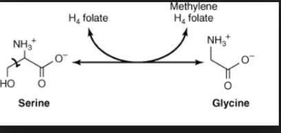 Solved Metnylene H, folate H4folate NHİ 3 NH3 OT но о Serine | Chegg.com