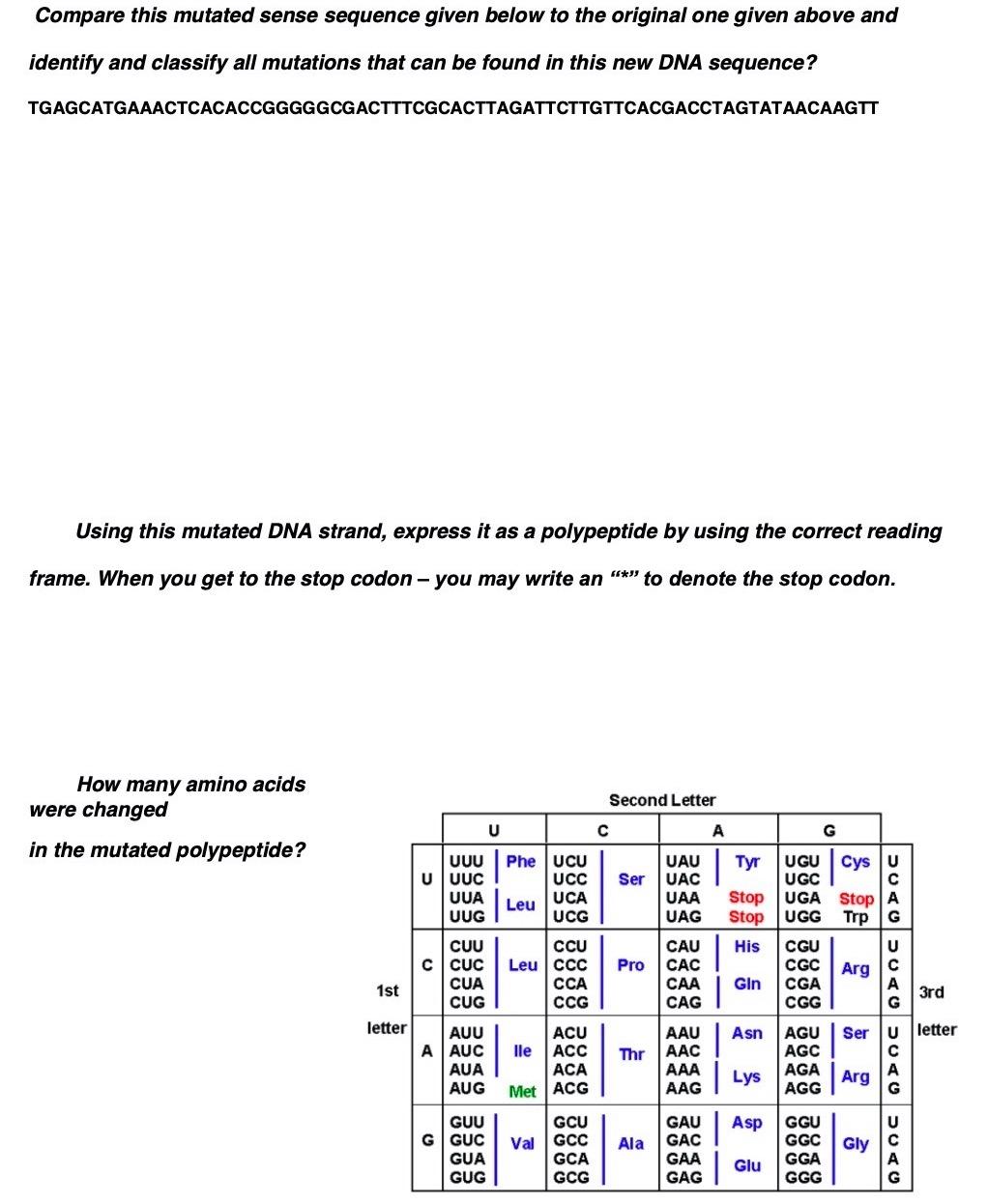 Solved a) Replicate this sense strand to create a | Chegg.com