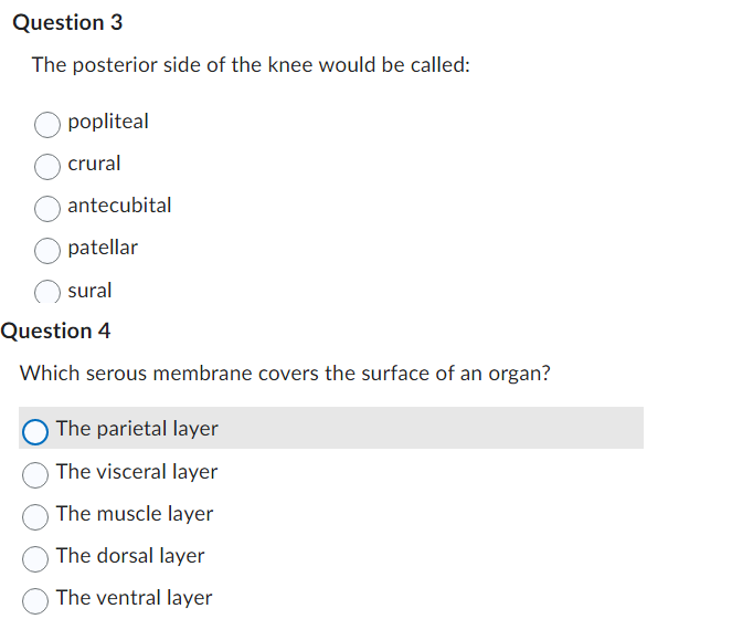 [Solved]: The posterior side of the knee would be called: