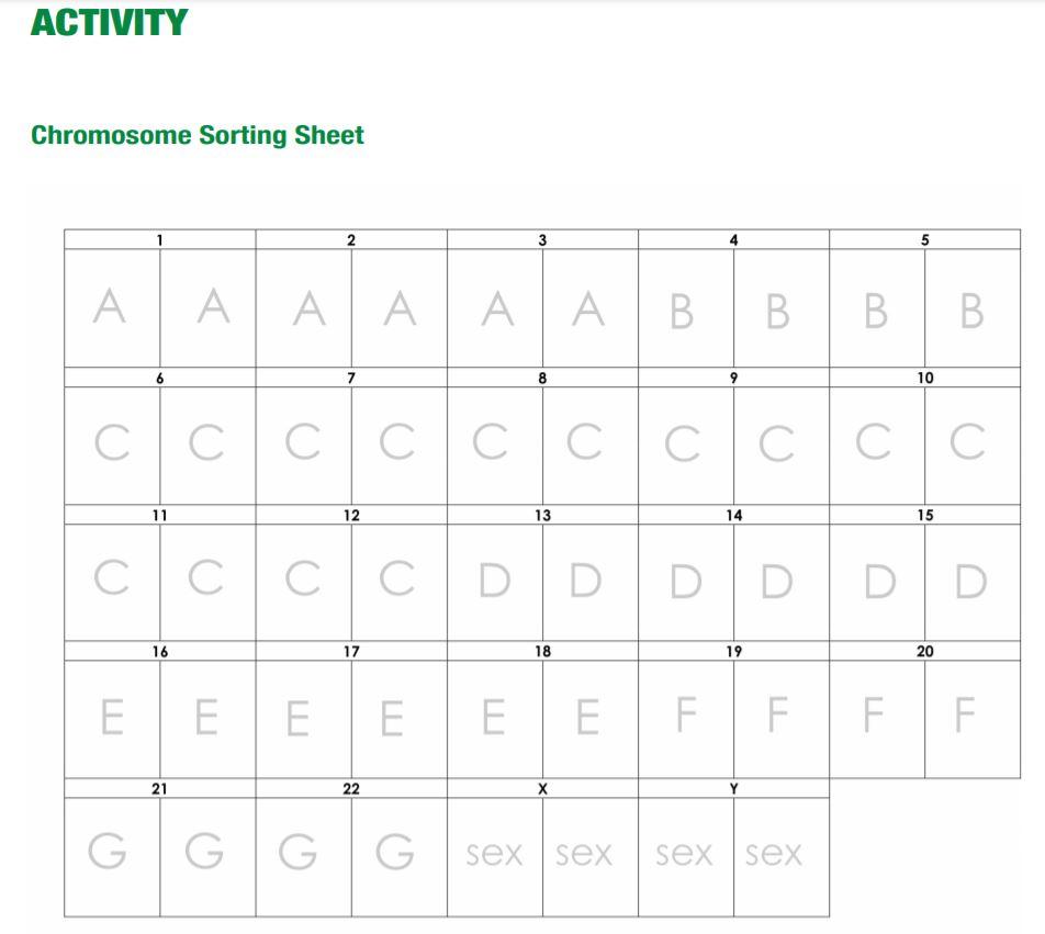 please help Pair the chromosomes, matching those | Chegg.com