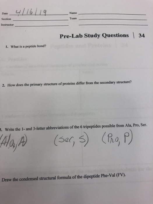 Solved 416Aom Name Section Team Instructor Pre-Lab Study | Chegg.com