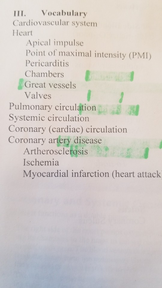 Solved Vocabulary III. Cardiovascular system Heart Apical | Chegg.com