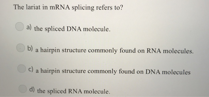 Solved The lariat in mRNA splicing refers to? a) the spliced | Chegg.com