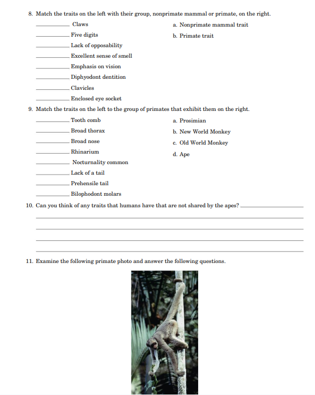 Solved 5. Examine the following primate photo and answer | Chegg.com
