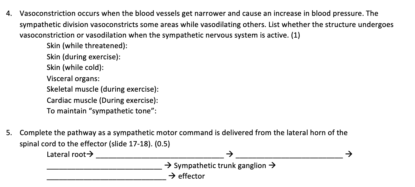 Solved 4. Vasoconstriction occurs when the blood vessels get | Chegg.com