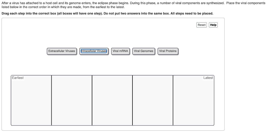 Solved After a virus has attached to a host cell and its | Chegg.com
