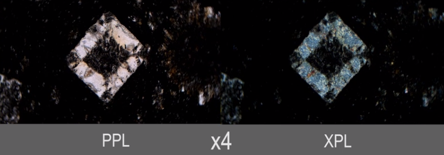 Solved PPL x4 XPL PPL x4 XPL Mineral variety textural | Chegg.com