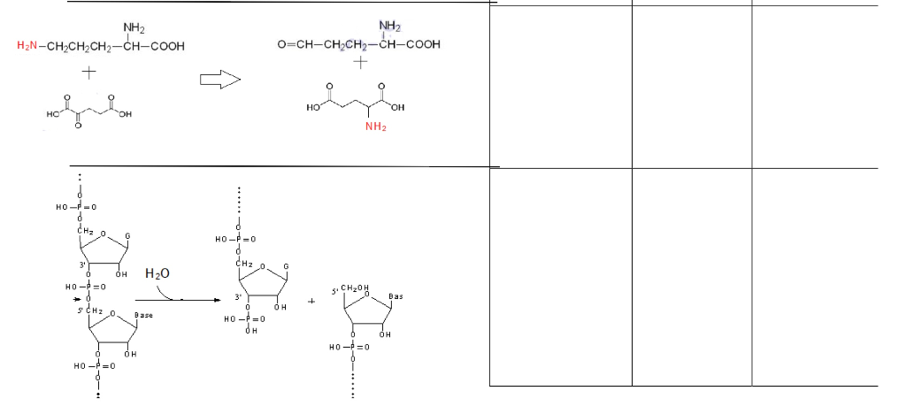 Solved Which enzyme commission (EC) classification BEST | Chegg.com