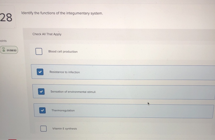 Solved Identify the functions of the integumentary system 28 | Chegg.com