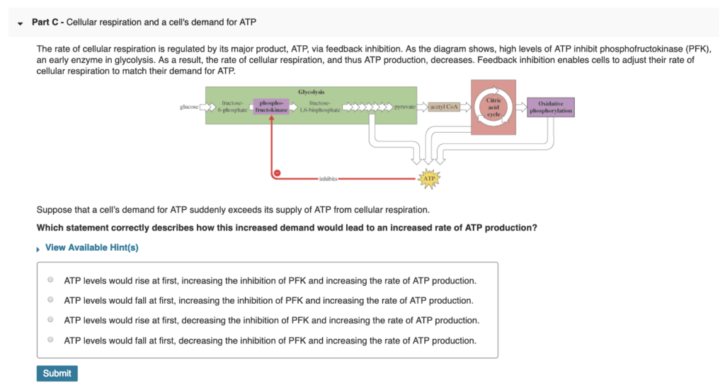 Solved Part C-Cellular respiration and a cell's demand for | Chegg.com