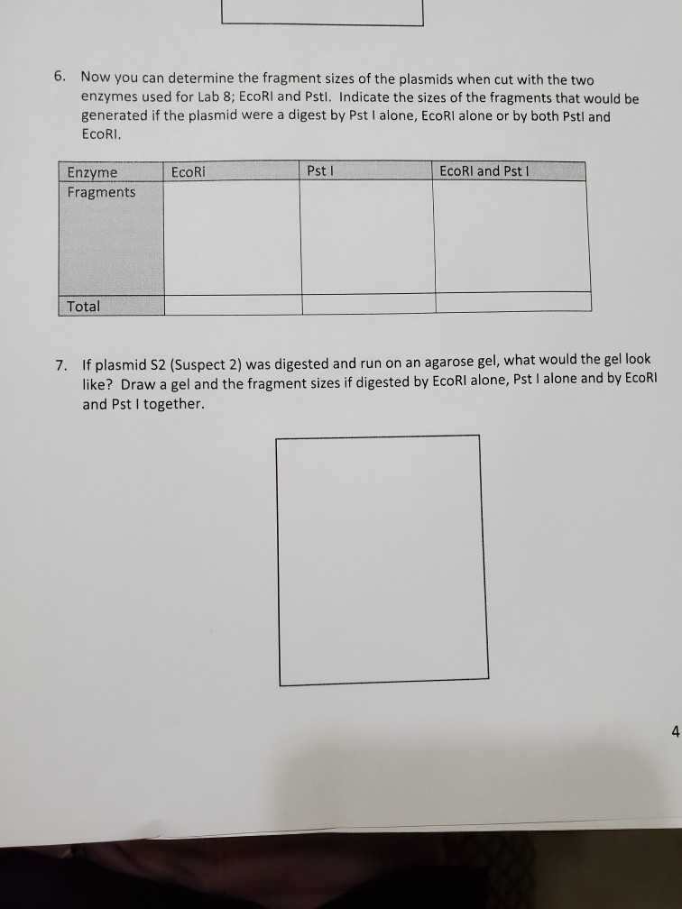 Solved Purpose. Demonstrate the principles of plasmid | Chegg.com
