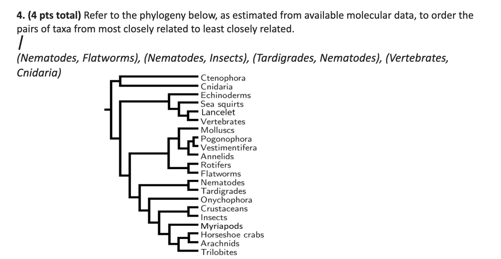 Solved 4. (4 pts total) Refer to the phylogeny below, as | Chegg.com