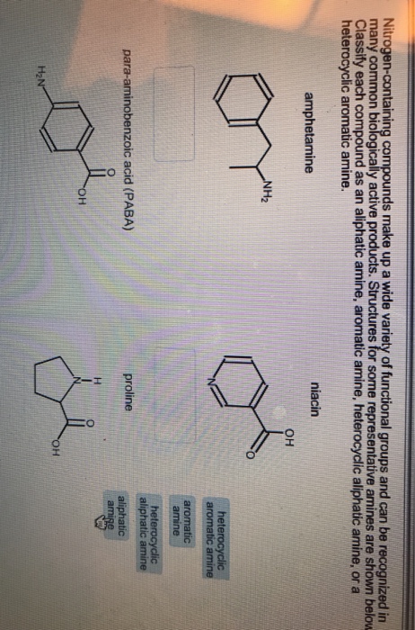 Solved Nitrogen-containing compounds make up a wide variety | Chegg.com