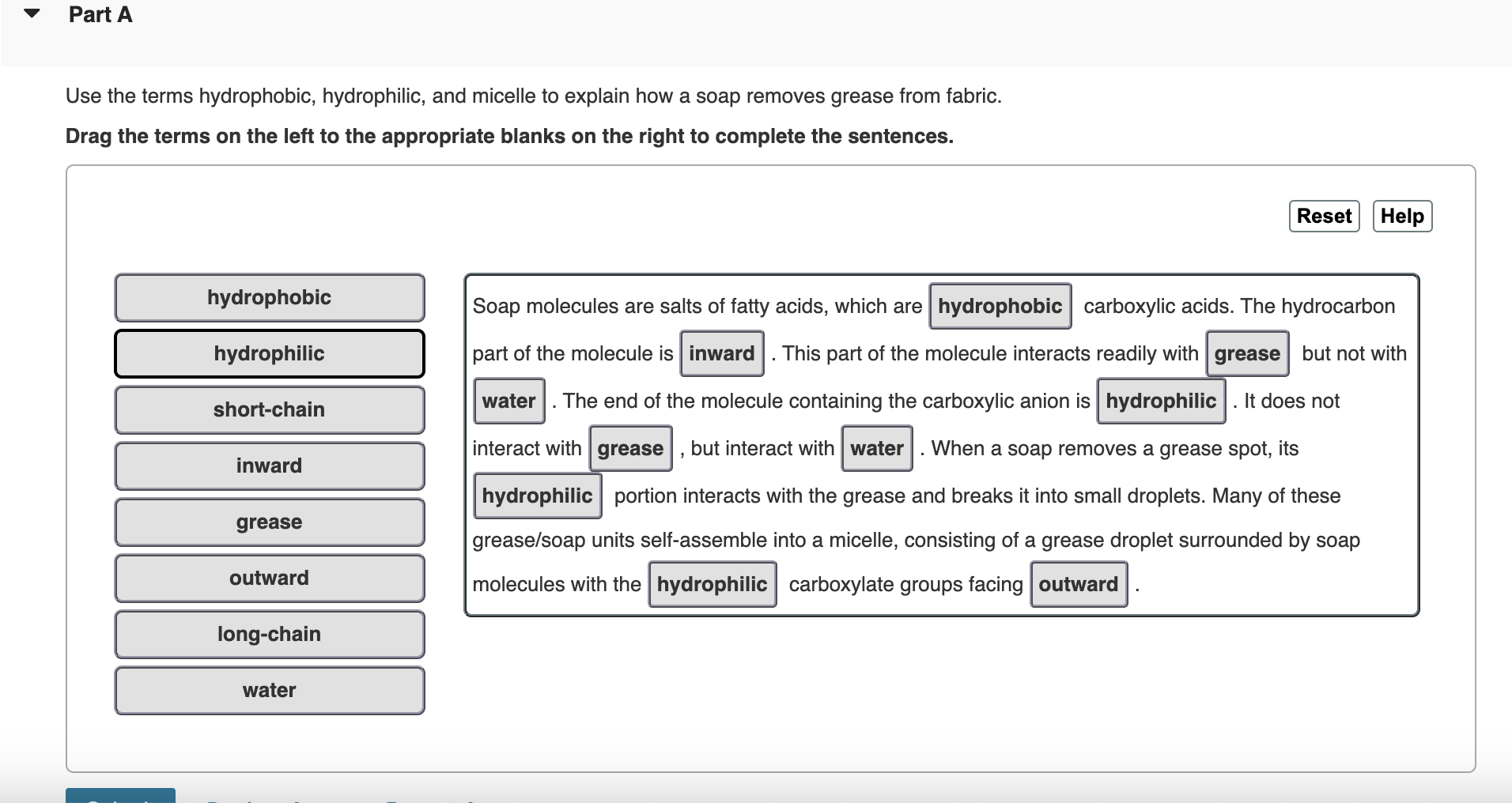 solved-use-the-terms-hydrophobic-hydrophilic-and-micelle-chegg
